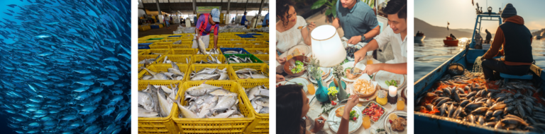 Fisheries Monitoring System | SRT Marine Systems